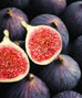 Limited Edition Black Bursa Fig Preserve – Single Variety Co