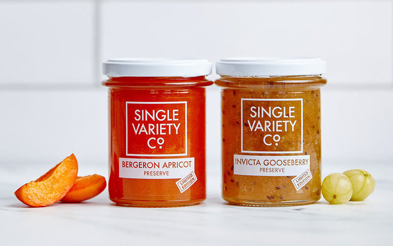 The Best Jam Sandwiches – Single Variety Co