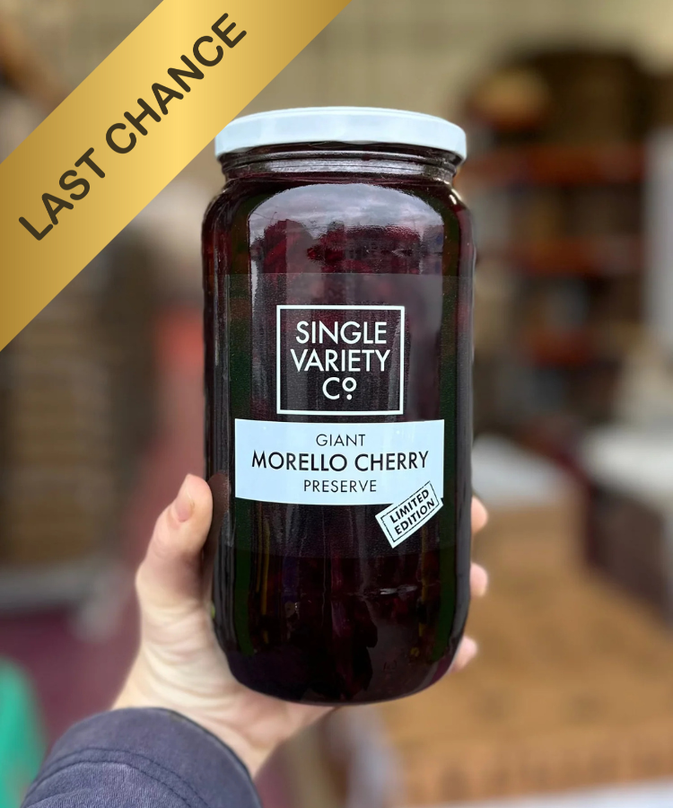 Giant Morello Cherry Preserve – Single Variety Co